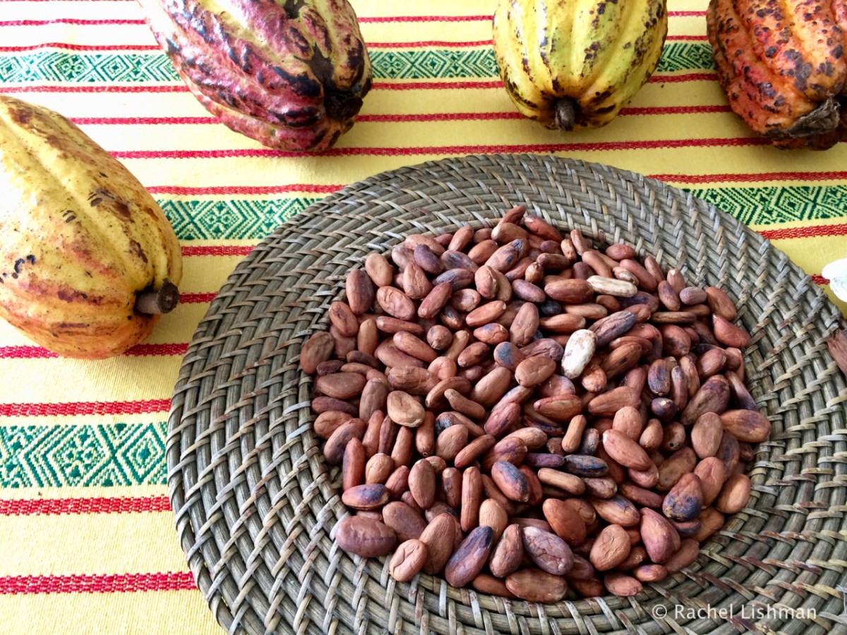 Five Reasons To Linger In San Ignacio, Belize – The Curious Traveller